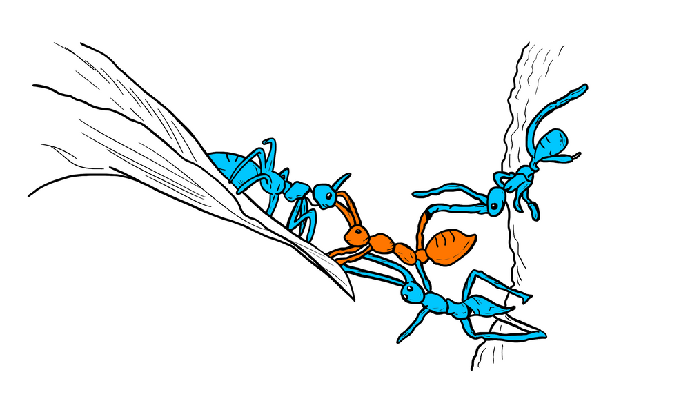 Python35 智能优化算法之蚁群算法ACO - 知乎