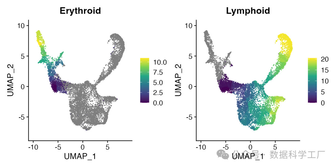 单细胞分析 | 使用 Monocle 3 进行发育轨迹分析 - 知乎