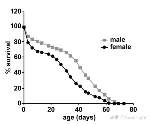 一个关于aging fly brain平淡无奇的研究 - 知乎