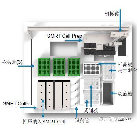 Pacbio测序原理以及SMRT bell文库构建流程简述 - 知乎