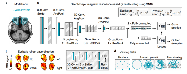 资源分享 | 利用机器学习进行高级MRI分析 - 知乎