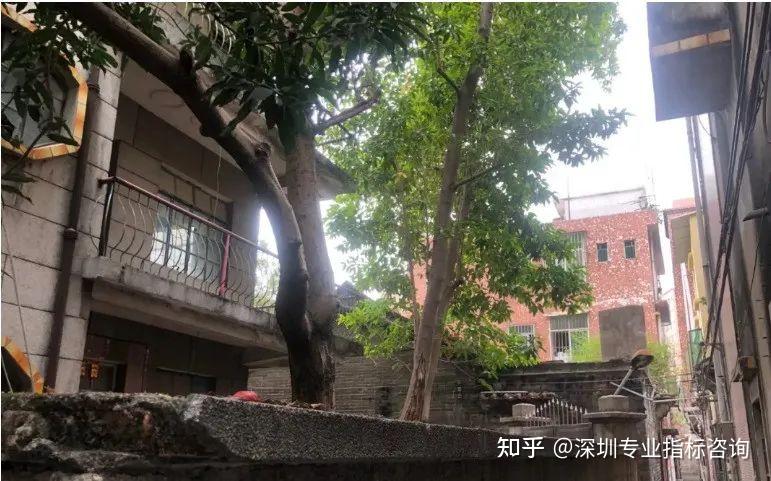 深圳光明区马田街道薯田埔旧屋村地块城市更新项目范围内历史违建物业权利人核实结果(第一批)的公示 知乎