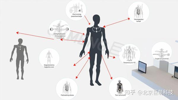 创新技术：利用视觉人体骨骼关键点检测算法实现高效动作捕捉 知乎