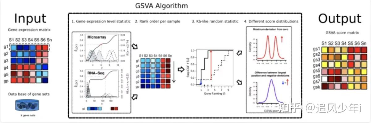 10X单细胞（10X空间转录组）富集分析GSEA、GSVA算法回顾 - 知乎