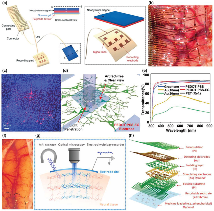 [35] 脑机接口系统柔性电极 - 知乎
