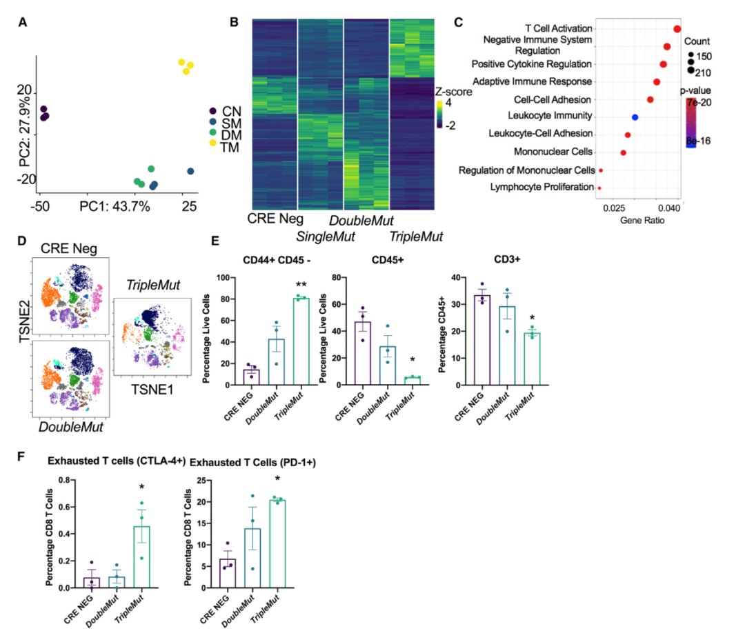 Cell Met | 微环境的氨可诱导结直肠癌的T细胞衰竭 - 知乎