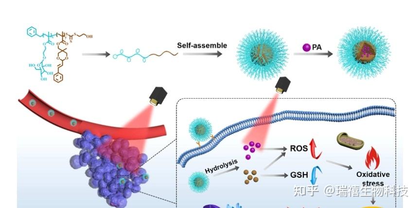 KP372-1/Resorufin/HKOH-1r/Garcinone D/Protocatechualdehyde/Azoramide ...