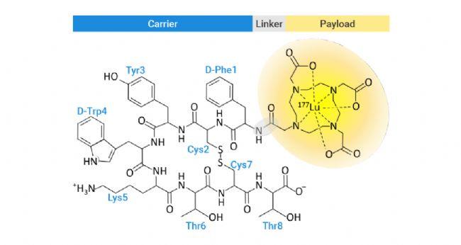 又一偶联药物Get!万物皆可偶联之 PDC | MedChemExpress - 知乎