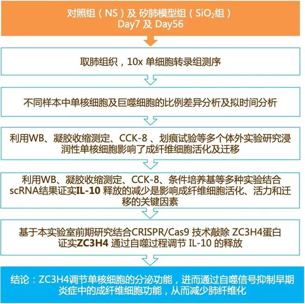 项目文章丨一套小鼠矽肺单细胞与空间组学数据连发三篇高分文章，你做得到吗？ - 知乎