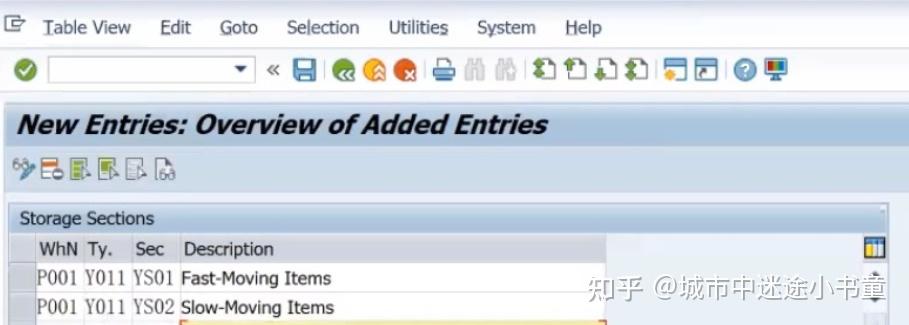 SAP EWM系统里的Storage Section - 知乎