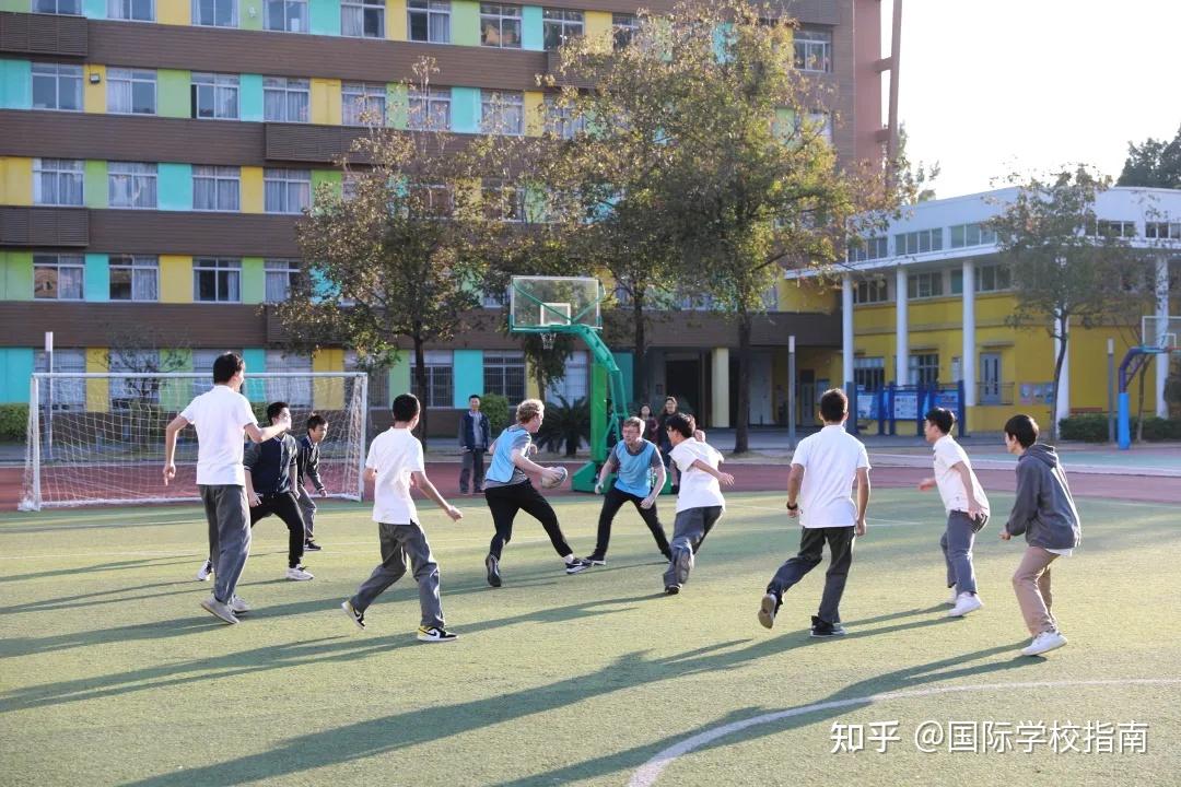 南澳SACE课程详解：优势、评估以及院校推荐！ - 知乎