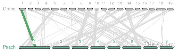 如何用MCScan(Python version).jcvi做出精美的基因组共线性图 - 知乎