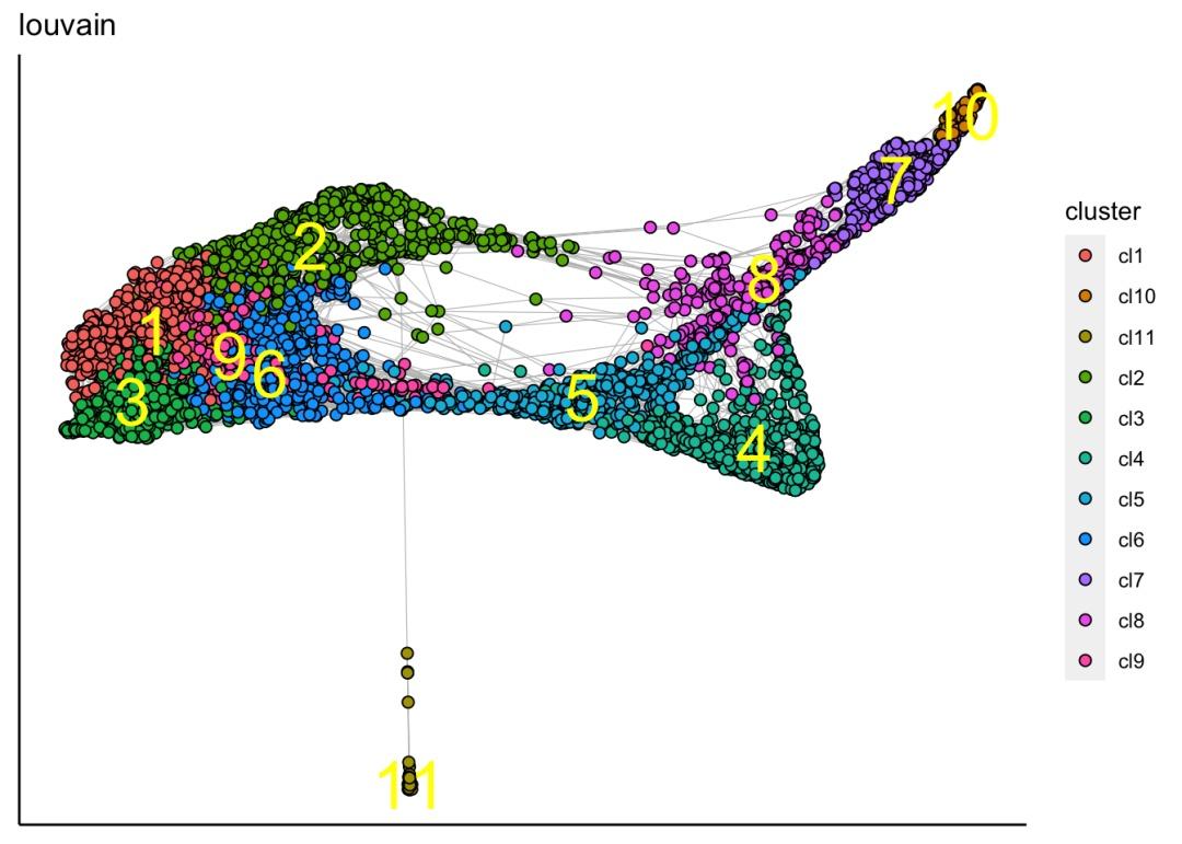 SingCellaR代码实操（四）：多样本单细胞数据整合下游分析 - 知乎