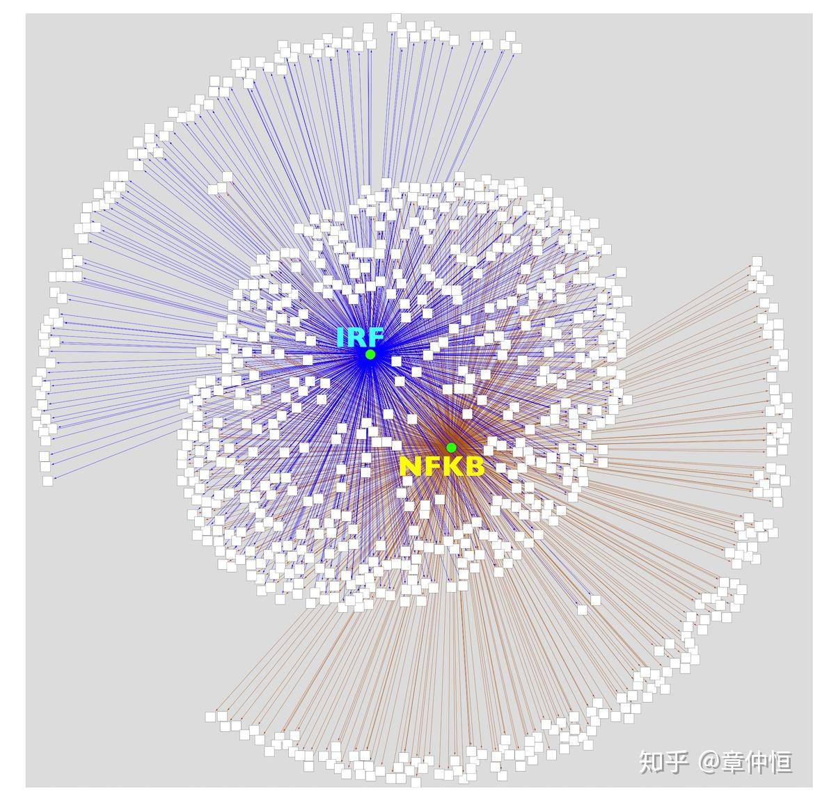 iRegulon：从基因列表到调控网络 - 知乎