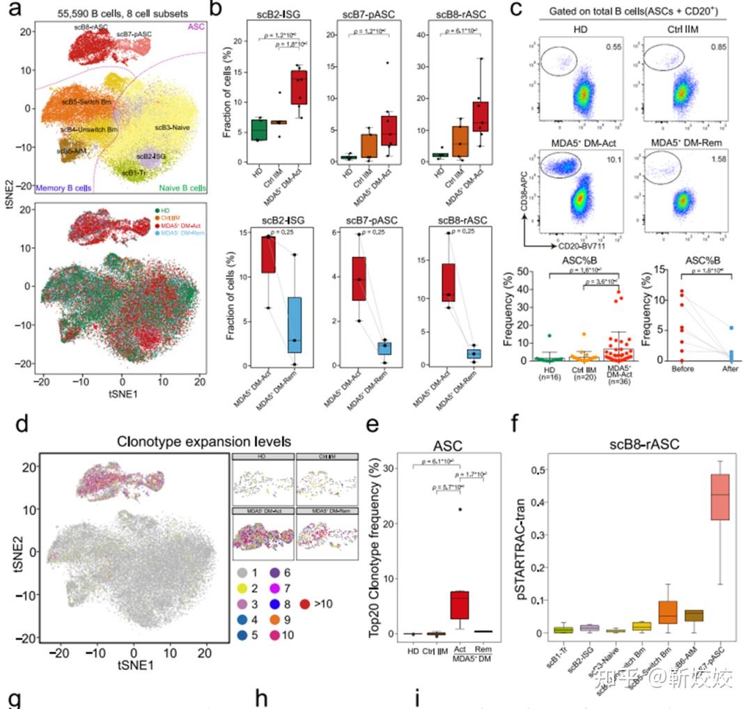 Nat Commun | 仁济医院与中科院巴斯德所合作，利用单细胞测序+多色流式+多重免疫荧光方法揭示严重风湿免疫疾病发病机理 - 知乎