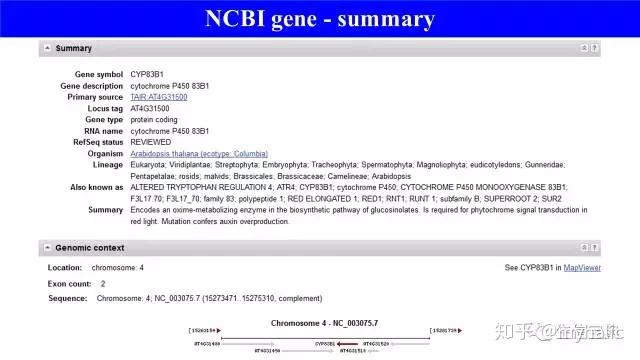 生信软件系列 - NCBI使用 - 知乎
