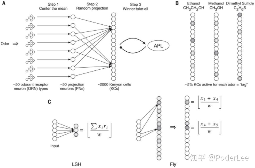 检索中的各类Hash及其应用 - 知乎