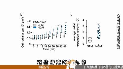 HCC1937细胞培养， 人乳腺癌细胞培养攻略 - 丰晖生物 - 知乎