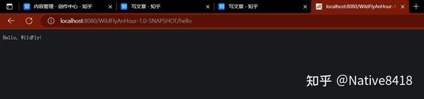 一小时实践入门 WildFly - 知乎