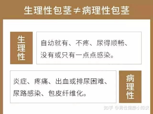 7张图带你彻底了解包皮包茎! 知乎
