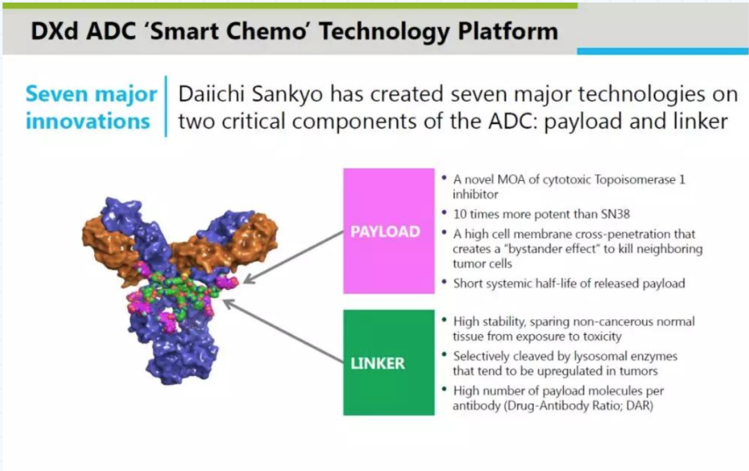 乳腺癌ADC重磅药物Enhertu在中国获批！ - 知乎
