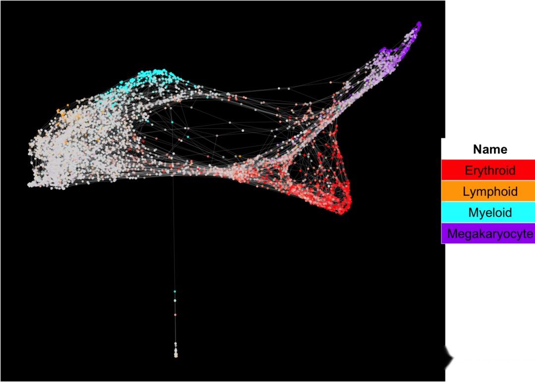SingCellaR代码实操（四）：多样本单细胞数据整合下游分析 - 知乎