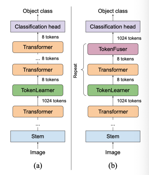 《TokenLearner》8个token能学到什么？谷歌提出TokenLearner，用8个token就可以达到优于数百个token的结果！ - 知乎