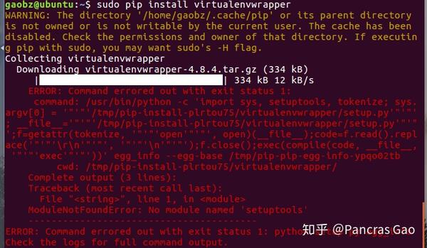Command usr bin python c import Sys Setuptools 