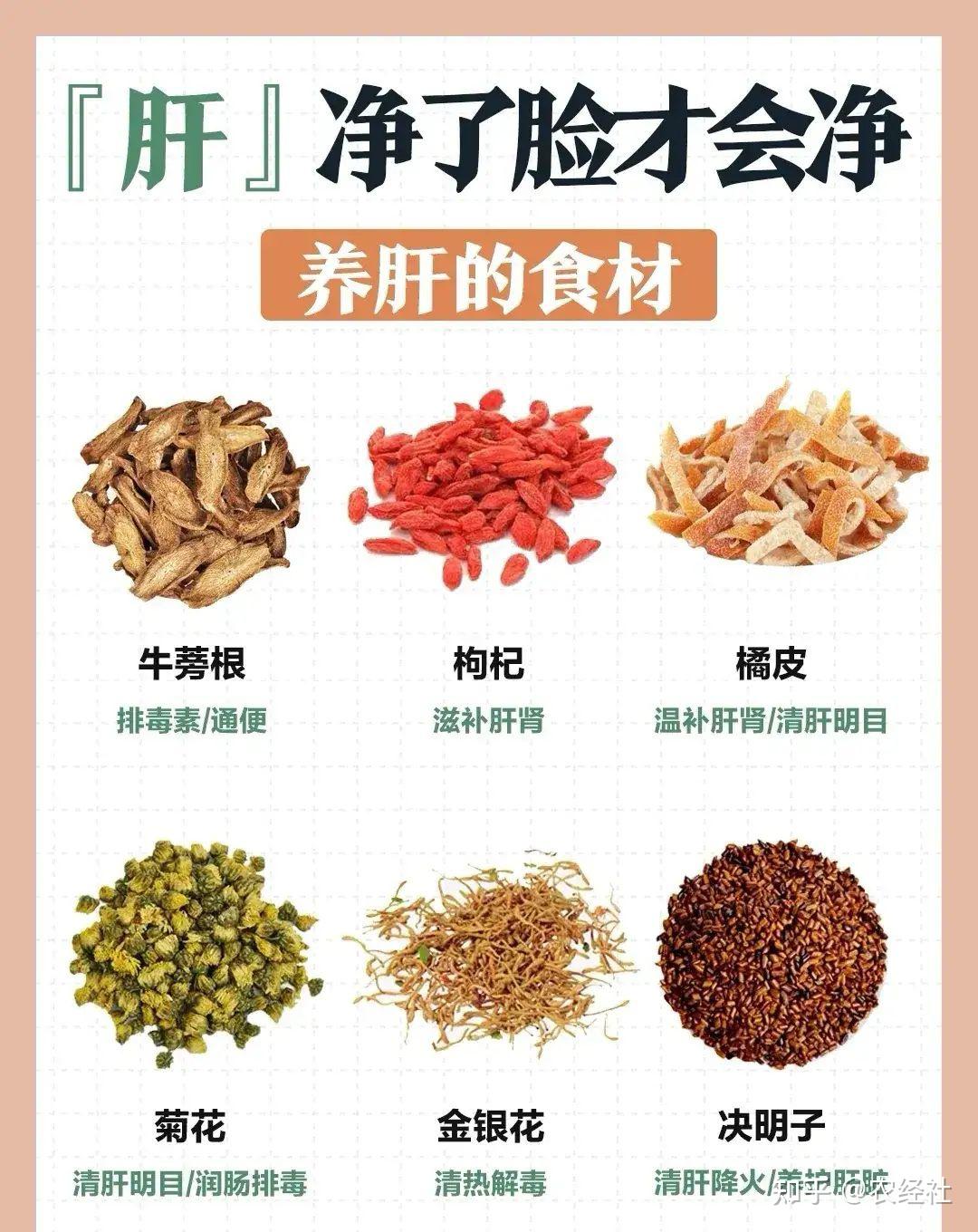 如何养肝 知乎