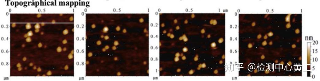 AFM原理、操作以及应用 - 知乎