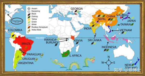 茶叶地图 - 知乎