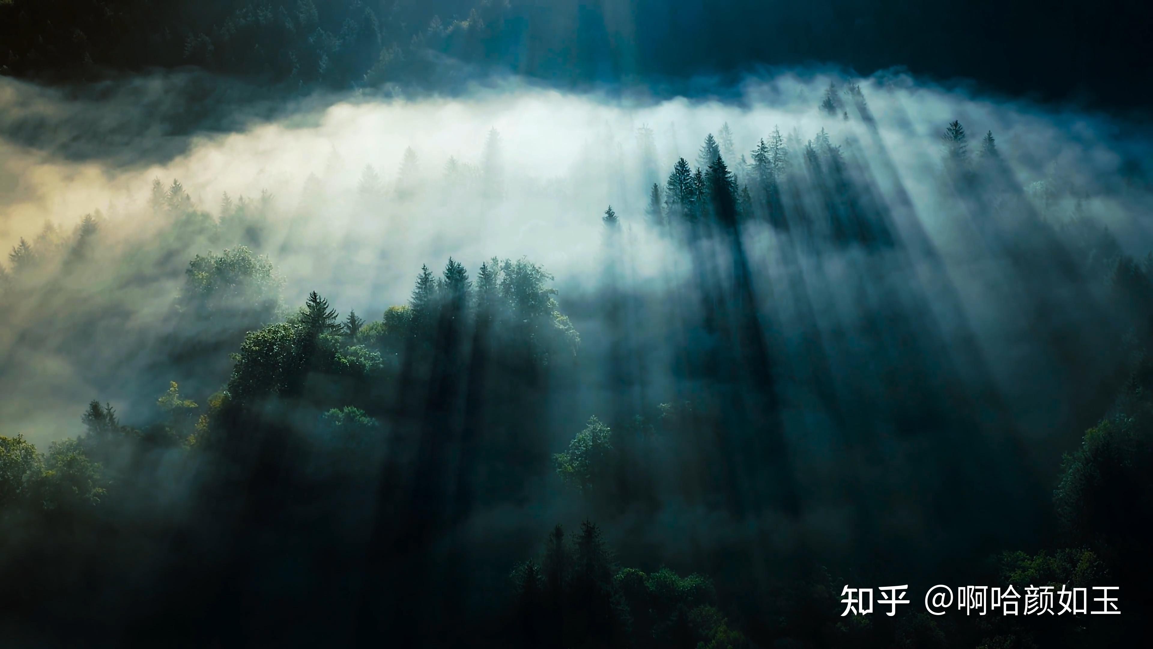 4k桌面背景 - 知乎
