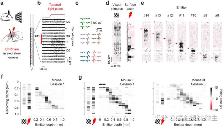 Neuropixels | Opto-Neuropixels：同步高通道记录与精准光控的融合平台 - 知乎