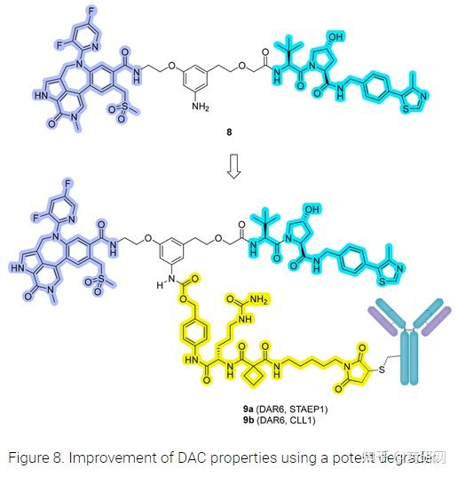 新模式的兴起 —— 降解抗体偶联药物（DAC） - 知乎