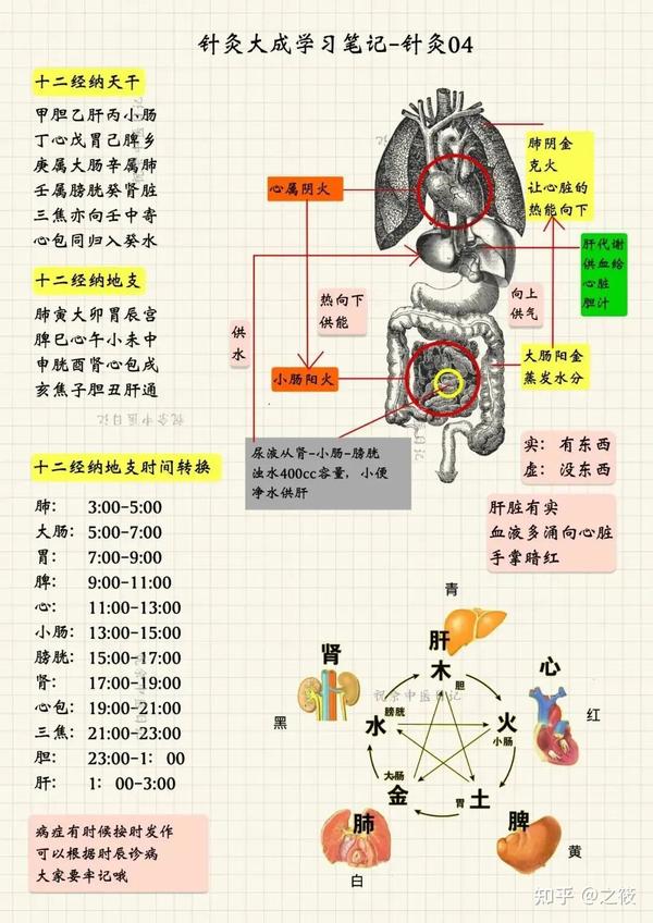 《针灸大成笔记》——倪海厦老师视频整理（建议收藏） - 知乎