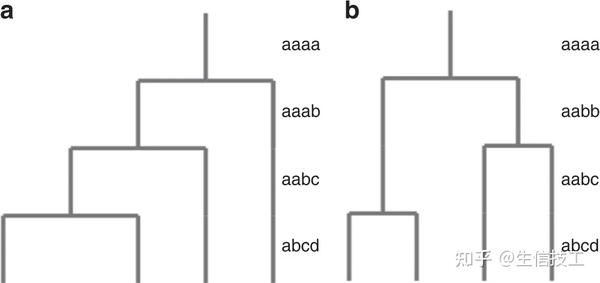 用k-mer分析进行基因组调查：（四）用GenomeScope评估基因组特征+用Smudgeplot估计倍性 - 知乎