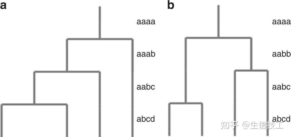 用k-mer分析进行基因组调查：（四）用GenomeScope评估基因组特征+用Smudgeplot估计倍性 - 知乎
