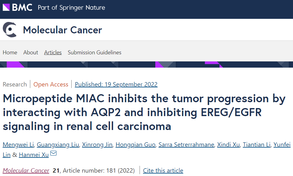 Mol Cancer（IF=41）| 中国药科大学揭示微肽在肾癌中的抑癌机制，为诊断和治疗肾癌提供新策略 - 知乎