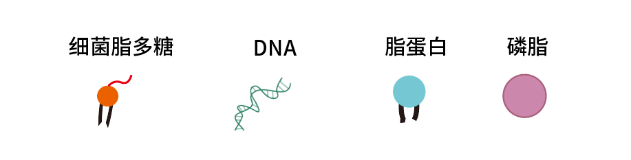 【说说靶点】TREM2：AD和癌症治疗的新希望 - 知乎