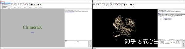 超实用！用ChimeraX对AlphaFold 结果可视化（上） - 知乎