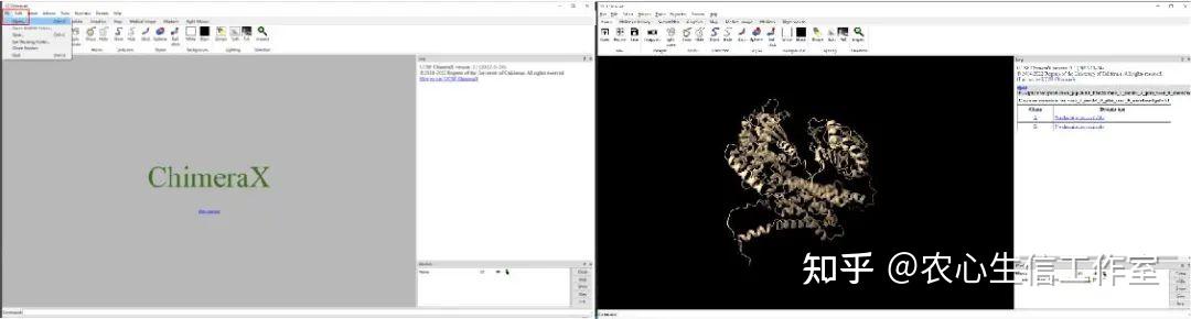 超实用！用ChimeraX对AlphaFold 结果可视化（上） - 知乎