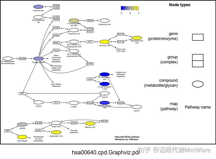 生信小工具 | Pathview——通路映射可视化 - 知乎