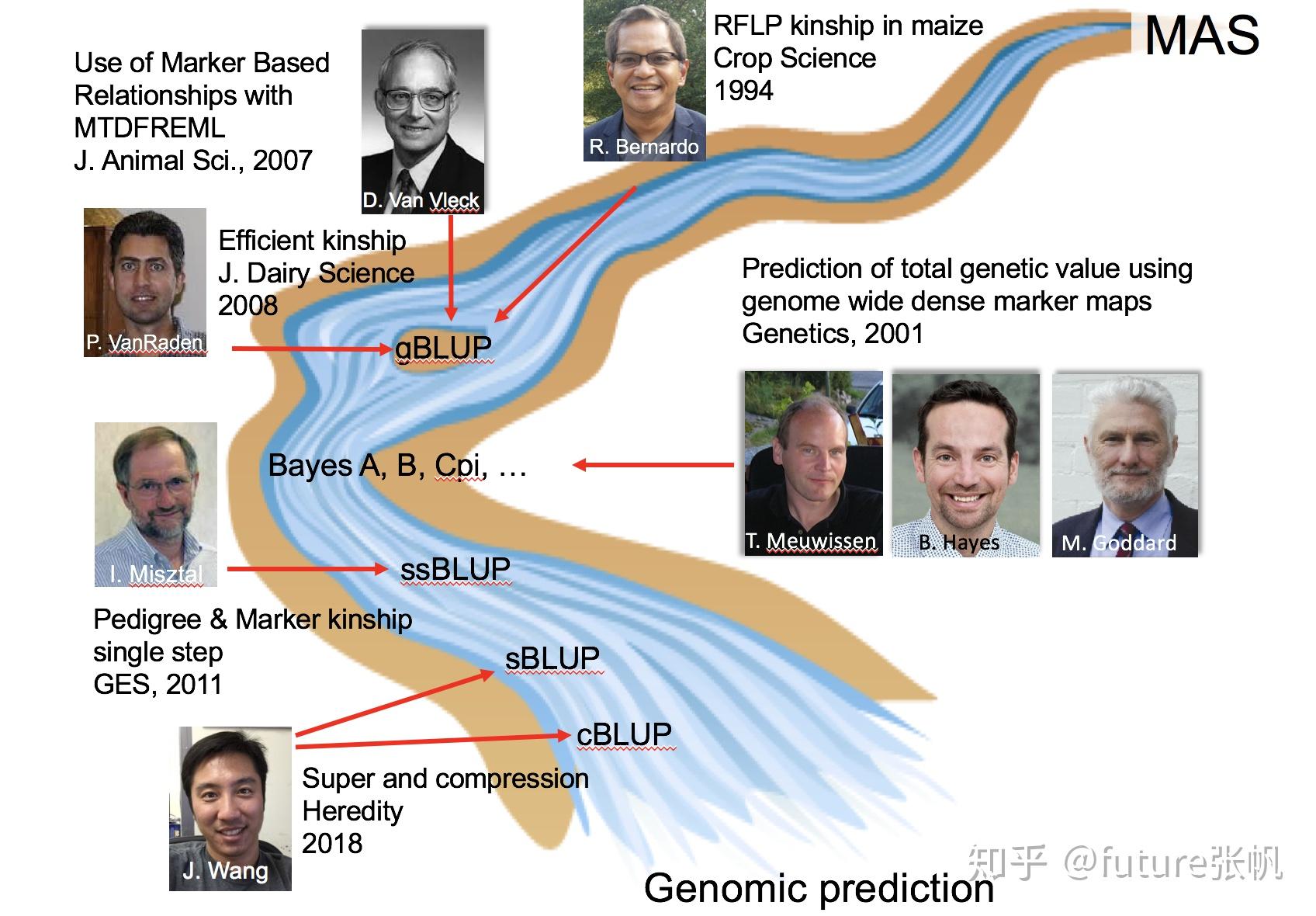利用GAPIT进行gwas和gs分析（附带方法介绍） - 知乎