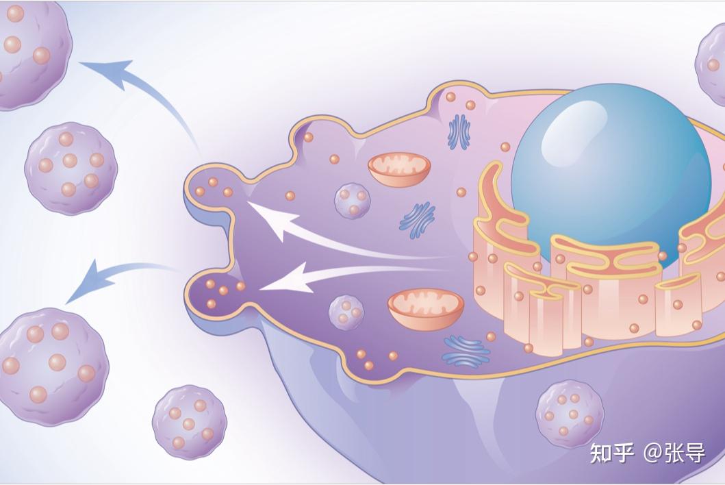 如何实现科研绘图自由？Figdraw这款绘图神器你一定要get！ - 知乎