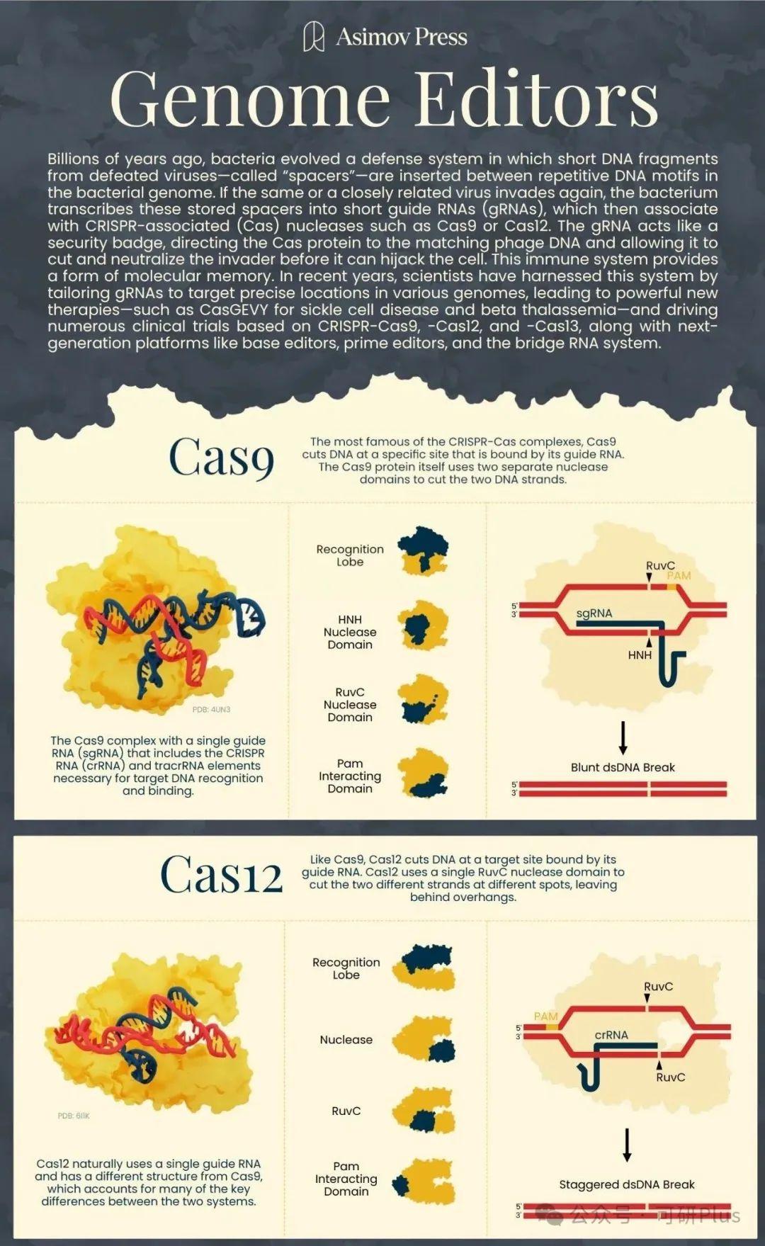 图解工具 | 这份基因编辑"武器库"清单，建议所有从业者收藏！ - 知乎