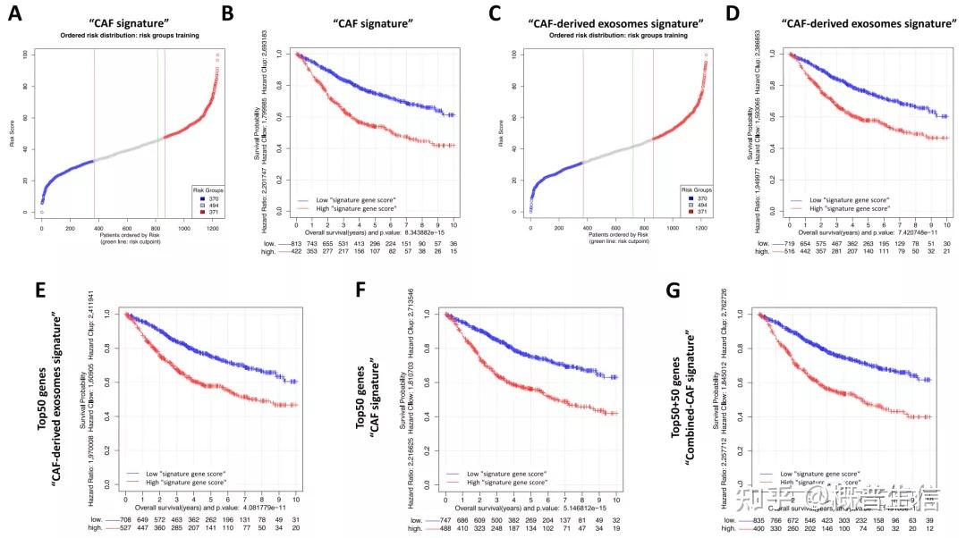 火爆全网的癌症相关成纤维细胞(CAF)最全面总结 - 知乎