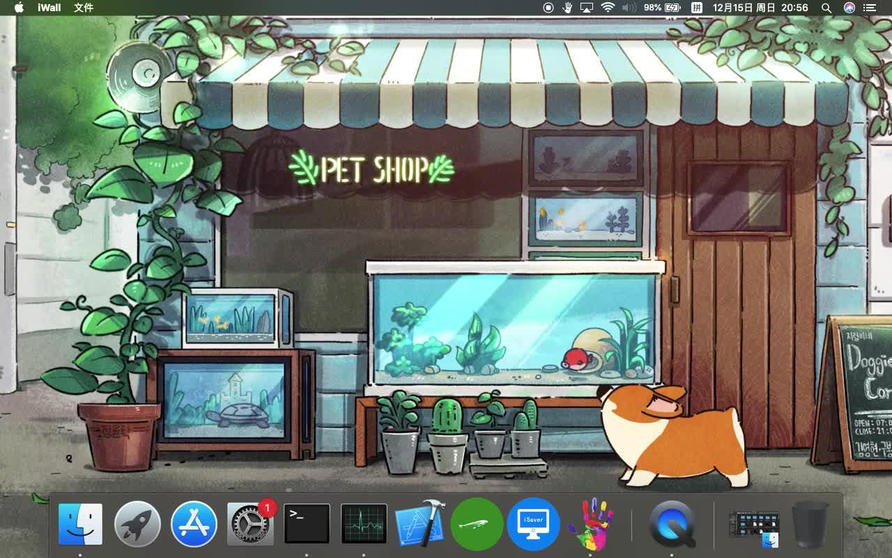 柯基路过宠物店亲吻小河豚，真是爱意满满啊！iWall 和 iSaver - 知乎