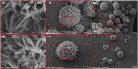 共价有机骨架（COFs）常见的表征方法 - 知乎