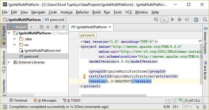 构建多平台的Ignite集群：Java+.NET - 知乎