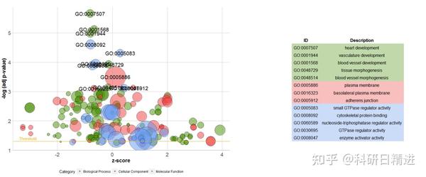 如何使用GOplot画一张精美的GO分析图 - 知乎